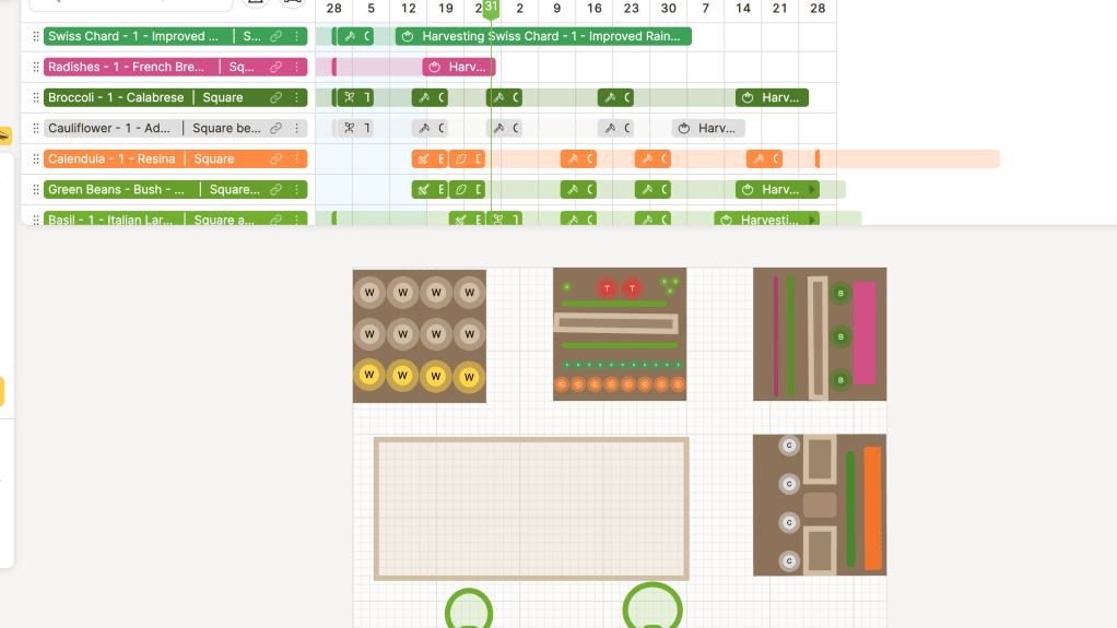 Backyard Botanics | Connecting and Healing with Mother Earth
